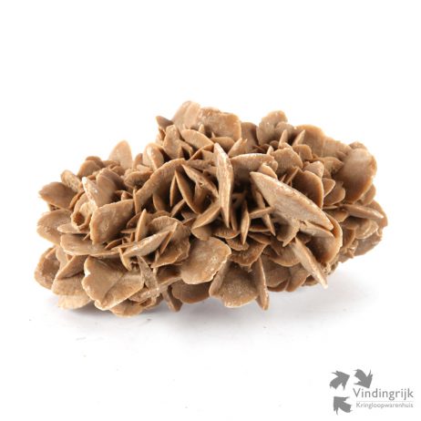 Grote Woestijnroos / Zandroos | Parels Breda