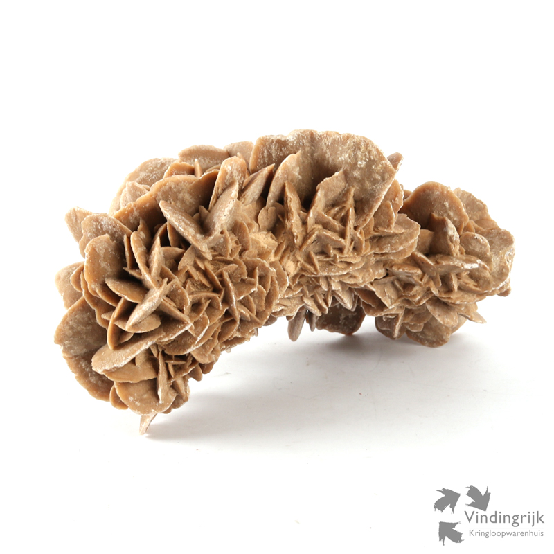 Grote Woestijnroos / Zandroos | Parels Breda