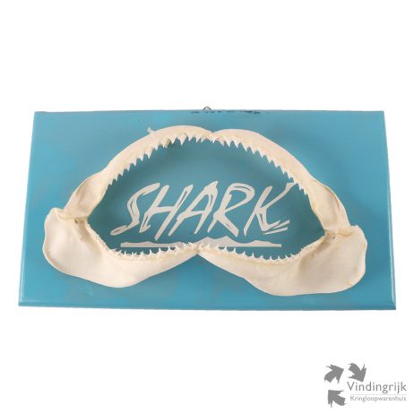 Haaienkaak | Parels Breda
