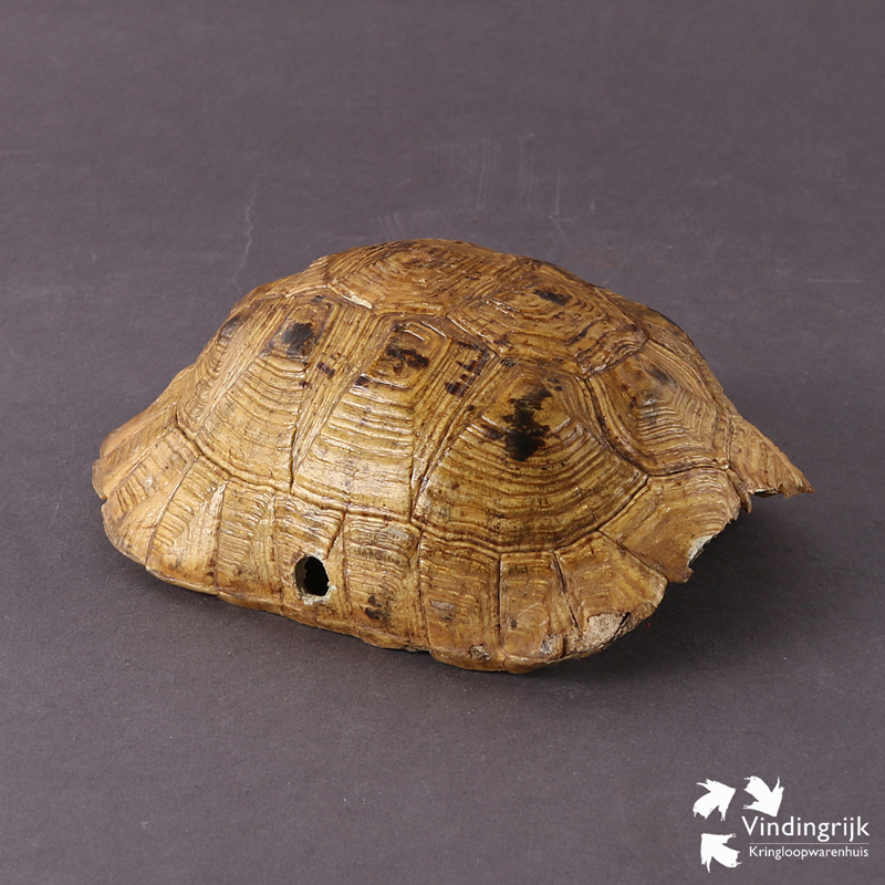 Schilpad Schild | Parels Breda