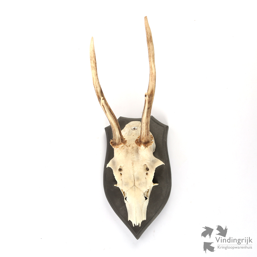 Ree Gewei op Schild | Parels Breda